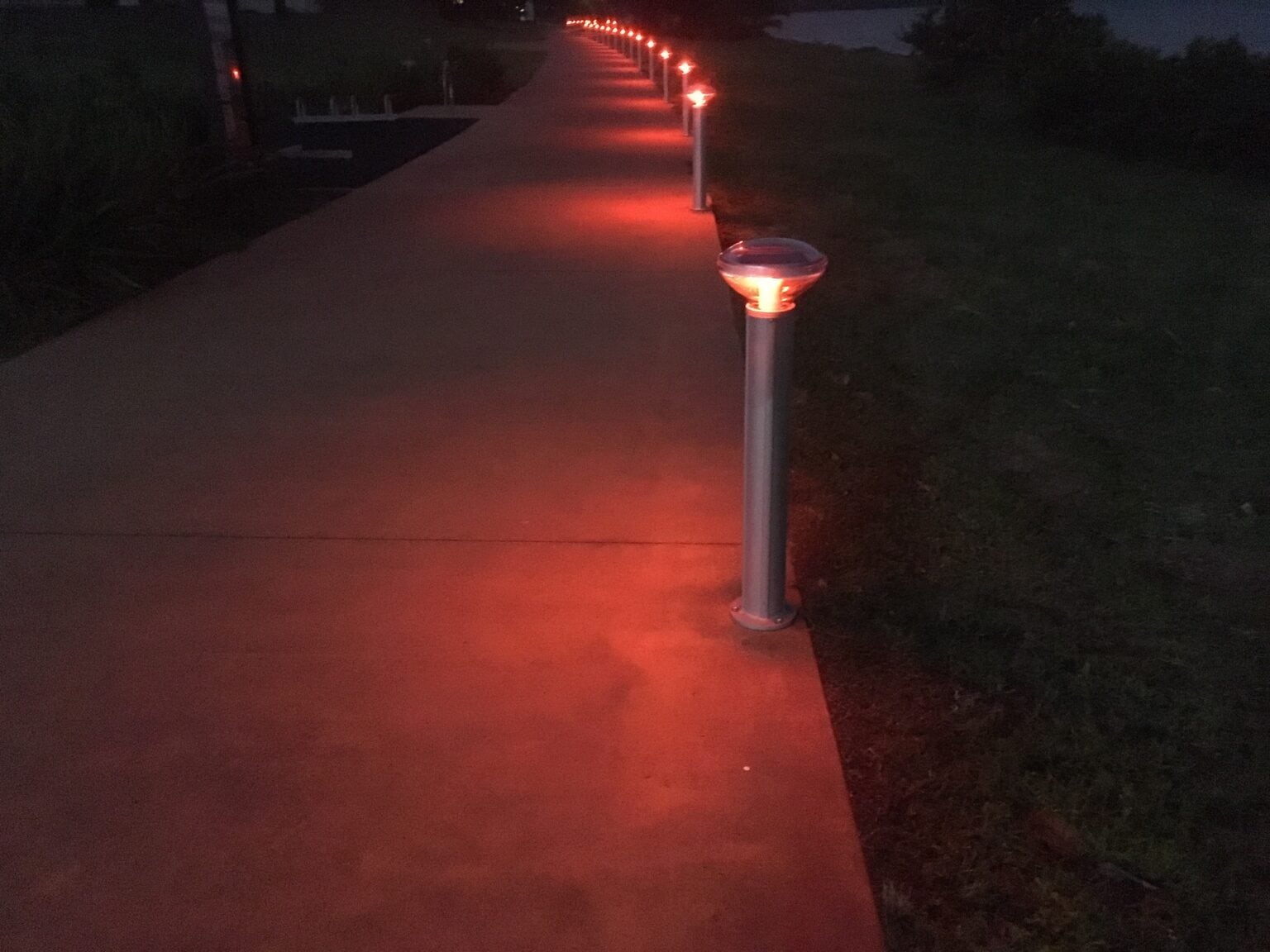 Outdoor Lighting & Wildlife Protection – HIGHLUX